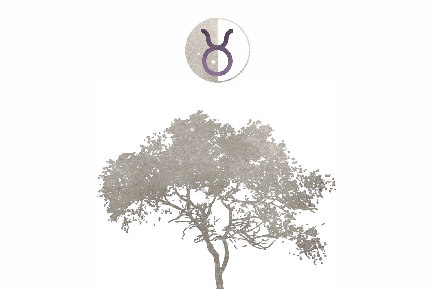 When Is Taurus Season? | SunSigns.com